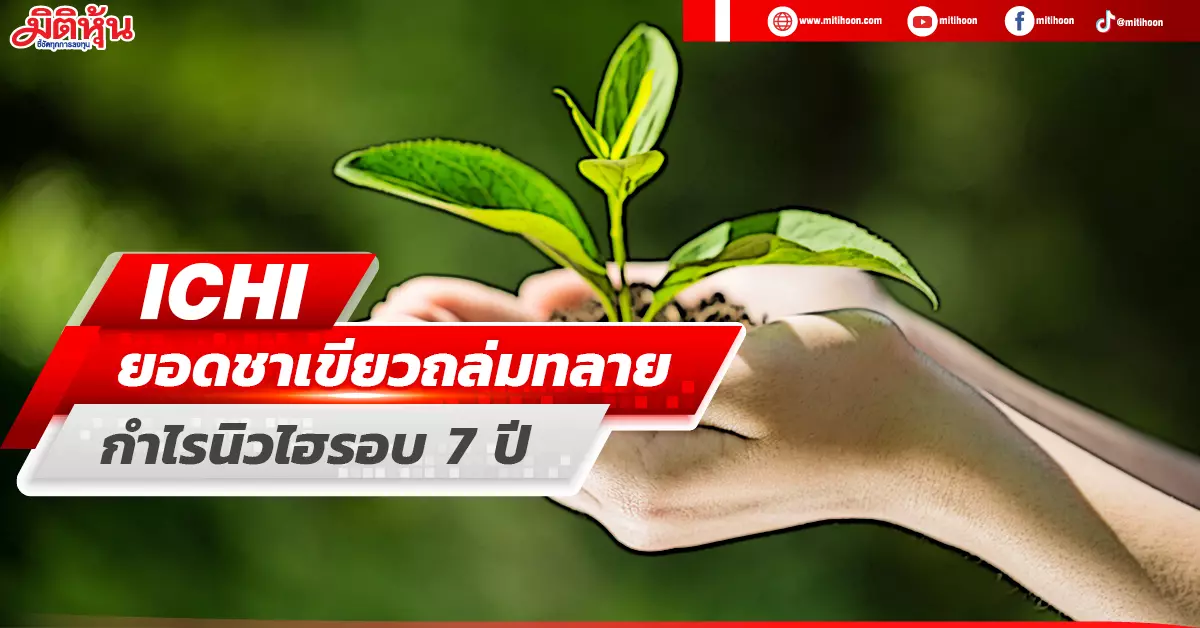 ICHI ยอดชาเขียวถล่มทลาย กำไรนิวไฮรอบ7ปี - มิติหุ้น | ชี้ชัดทุกการลงทุน