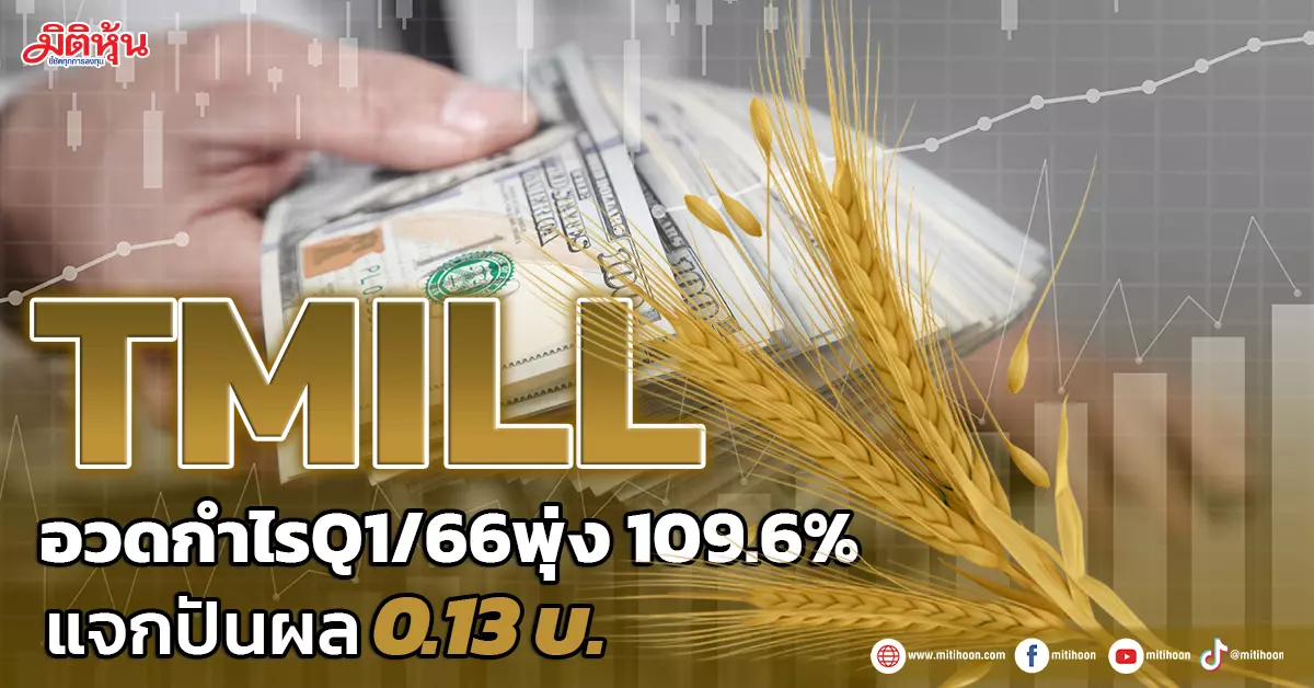 TMILL อวดกำไรQ1/66พุ่ง 109.6% แจกปันผล 0.13 บ. - มิติหุ้น | ชี้ชัดทุกการลงทุน