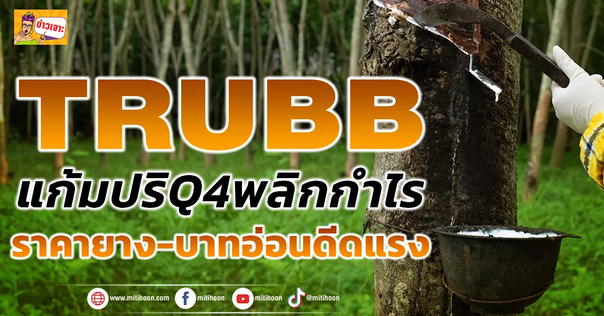 TRUBB แก้มปริQ4พลิกกำไร ราคายาง-บาทอ่อนดีดแรง - มิติหุ้น | ชี้ชัดทุกการลงทุน