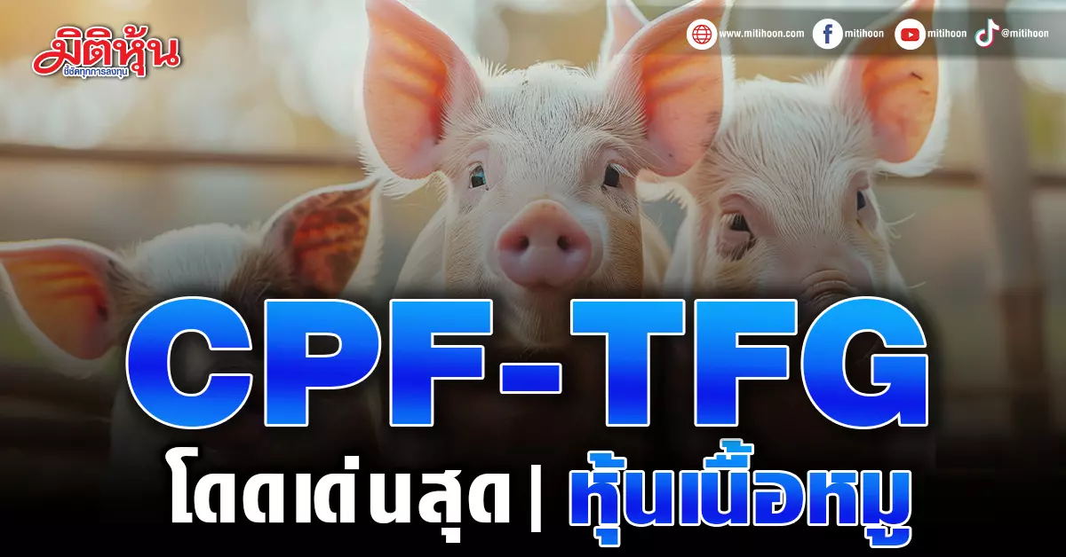 CPF-TFG โดดเด่นสุด หุ้นเนื้อหมู - มิติหุ้น | ชี้ชัดทุกการลงทุน
