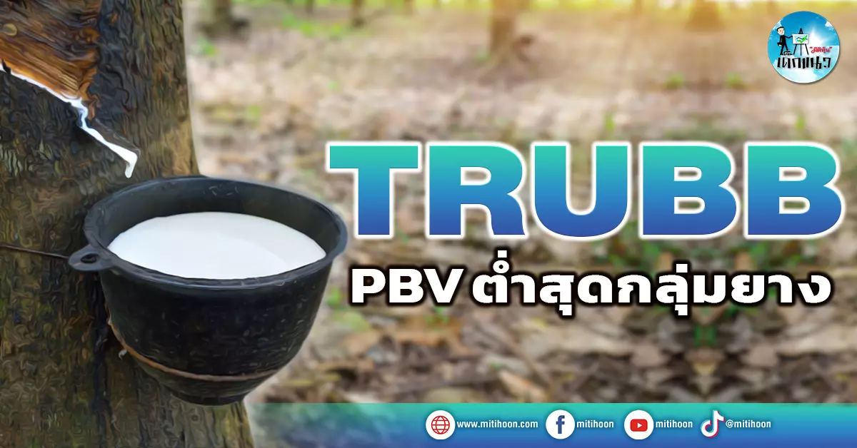 เด็กแนว (เช้า) TRUBB : PBV ต่ำสุดกลุ่มยาง - มิติหุ้น | ชี้ชัดทุกการลงทุน