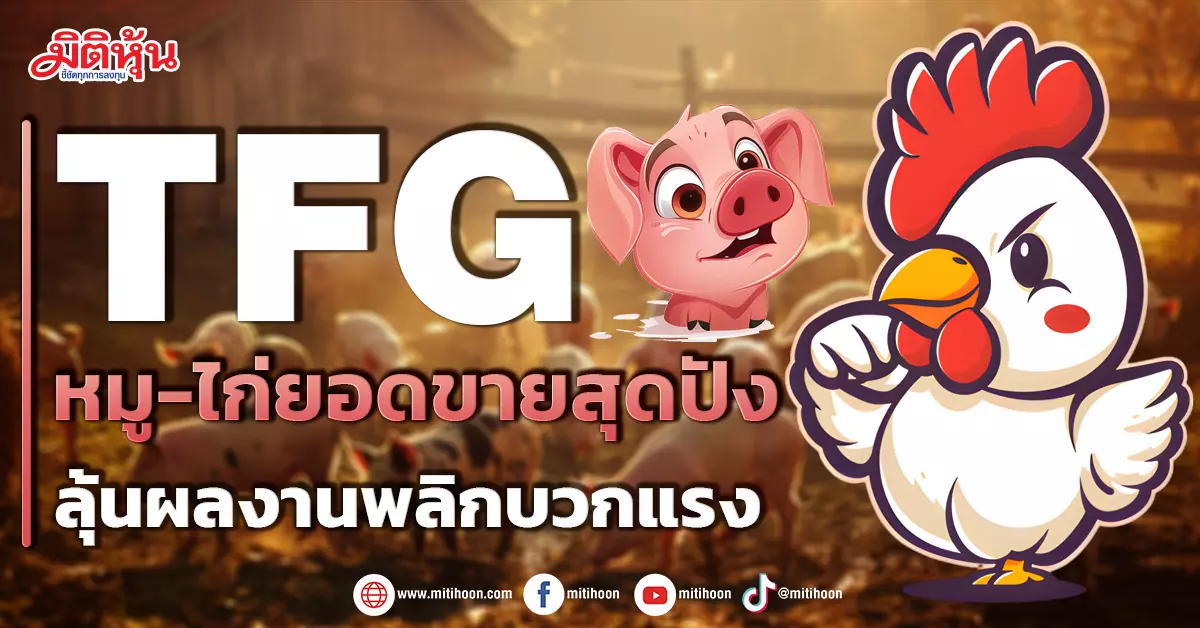TFG หมู-ไก่ยอดขายสุดปัง ลุ้นผลงานพลิกบวกแรง - มิติหุ้น | ชี้ชัดทุกการลงทุน
