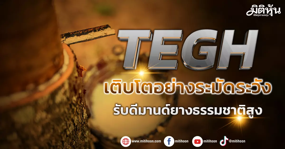 TEGH เติบโตอย่างระมัดระวัง รับดีมานด์ยางธรรมชาติสูง - มิติหุ้น | ชี้ชัดทุกการลงทุน