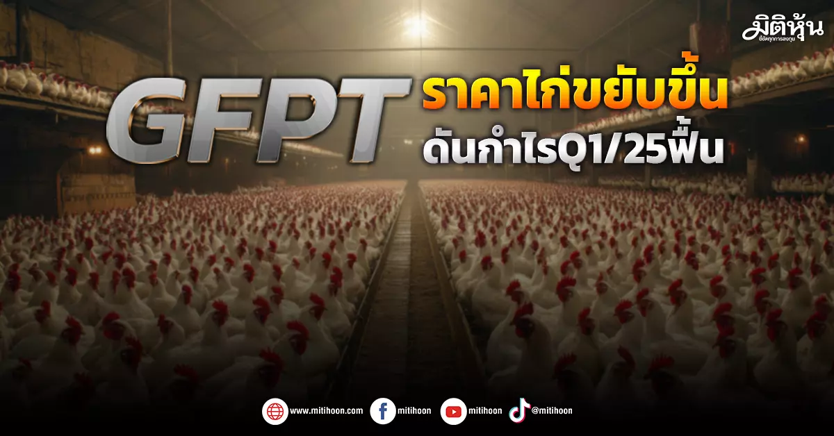 GFPT ราคาไก่ขยับขึ้น ดันกำไรQ1/25ฟื้น - มิติหุ้น | ชี้ชัดทุกการลงทุน