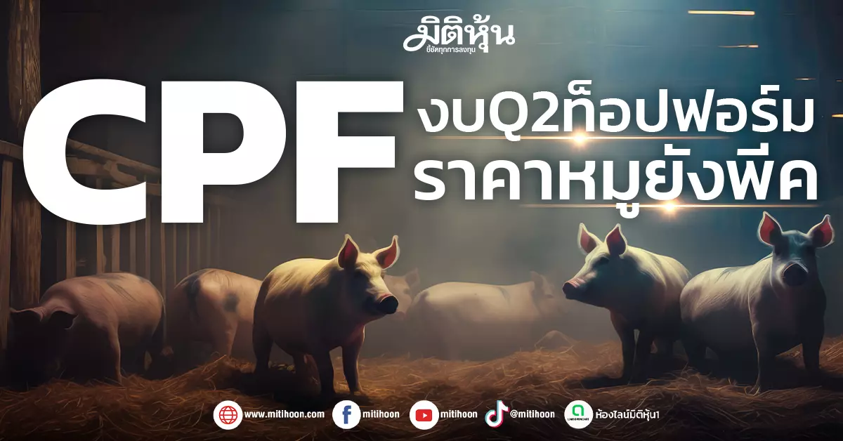CPF งบQ2ท็อปฟอร์ม ราคาหมูยังพีค - มิติหุ้น | ชี้ชัดทุกการลงทุน
